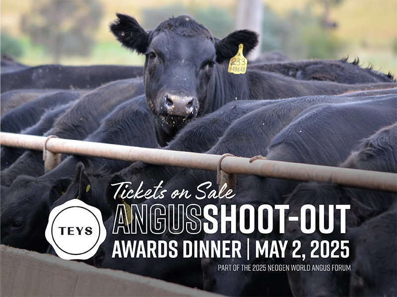 Awards Ceremony & Welcome Function - SOLD OUT - Teys Australia Angus…