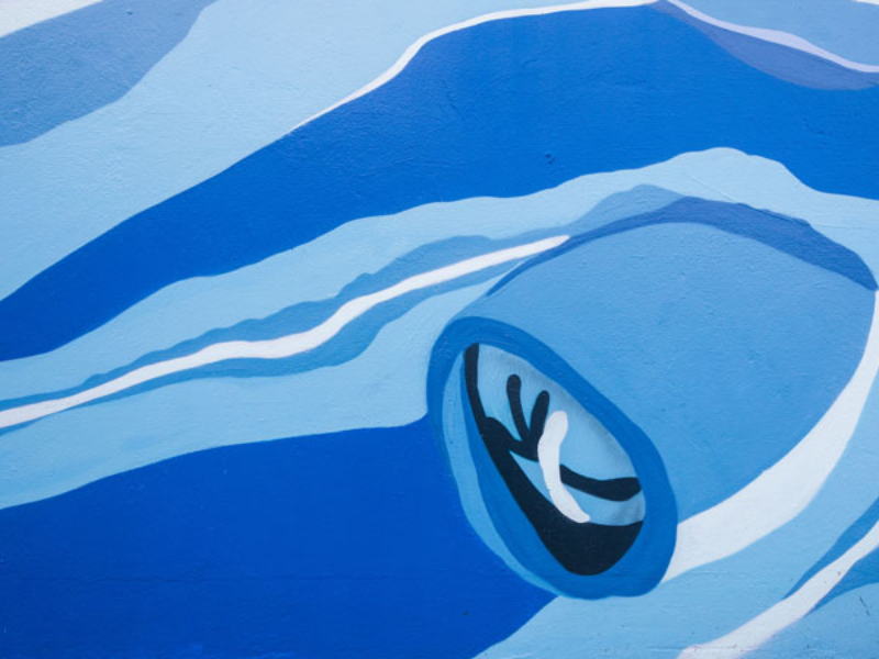 Creative Workshop with a Mural Artist - Bribie Island Library (worksh…