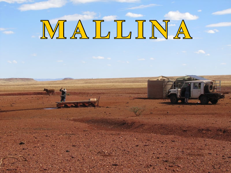 UDS Presents: Mallina A Station Story by Alex Franklin, Jamie Hilton,…